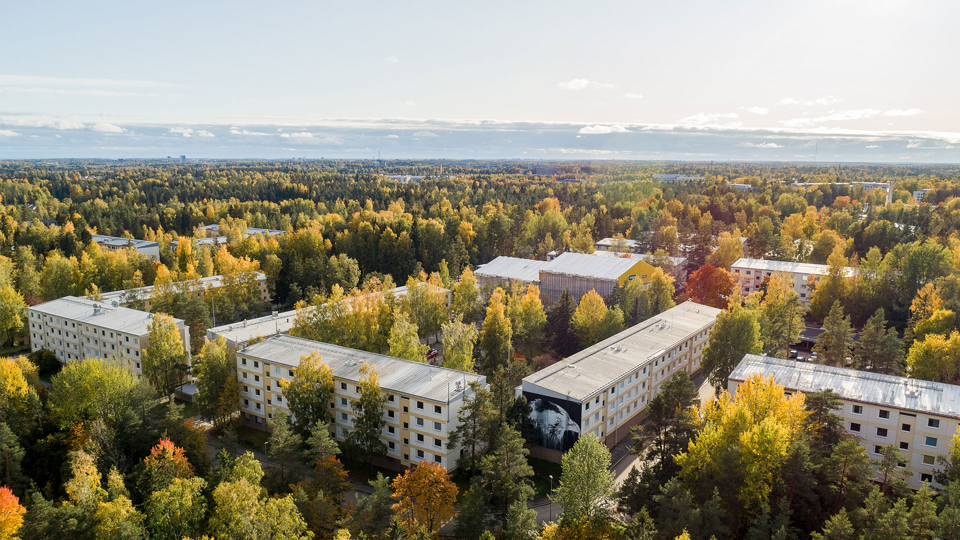 Teokset - Karakallio Creative