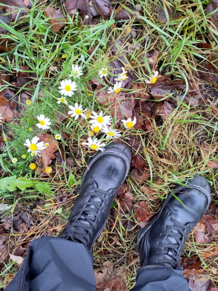 Emma Fältin monitaiteinen teos tutkii ympäristöä kuunnellen ja ...